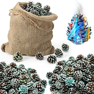 Shappy 170 Pcs Flame Color Changing Pine Cones Fireplace and Firepit Color Burning Pinecones with Green Blue Color Flame for Holidays Campfire Wood Stove Color Changing(4 lb in Burlap Bag)