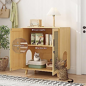 Lovinouse Large Cat Litter Box Enclosure, Hidden Cat Washroom Furniture with Sisal Covered Doors, 2 Layer Wooden Cat Cabinet with Adjustable Shelf, Side Table TV Stand for Living Room