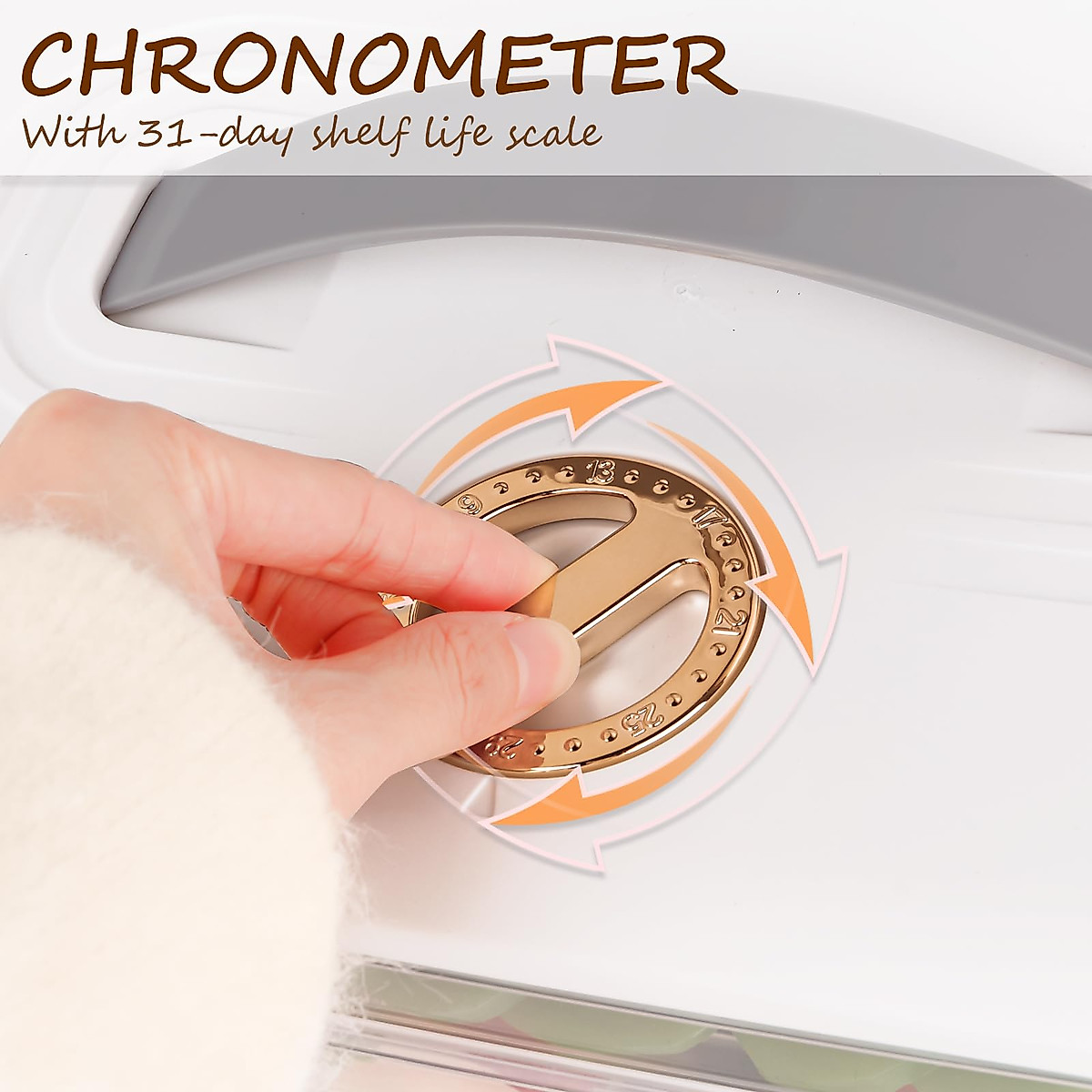 Liatinbo 4-Layer cookie carrier with lid and handle,dessert carrier dumpling container cookie transport storage container (4-Layer white)