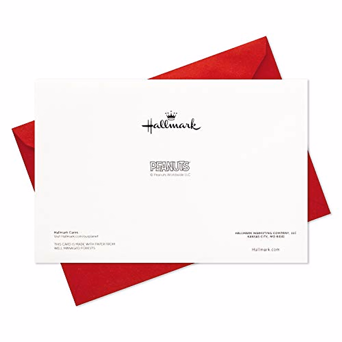 Hallmark Peanuts Christmas Cards, Nativity Pageant (16 Cards and 17 Envelopes)