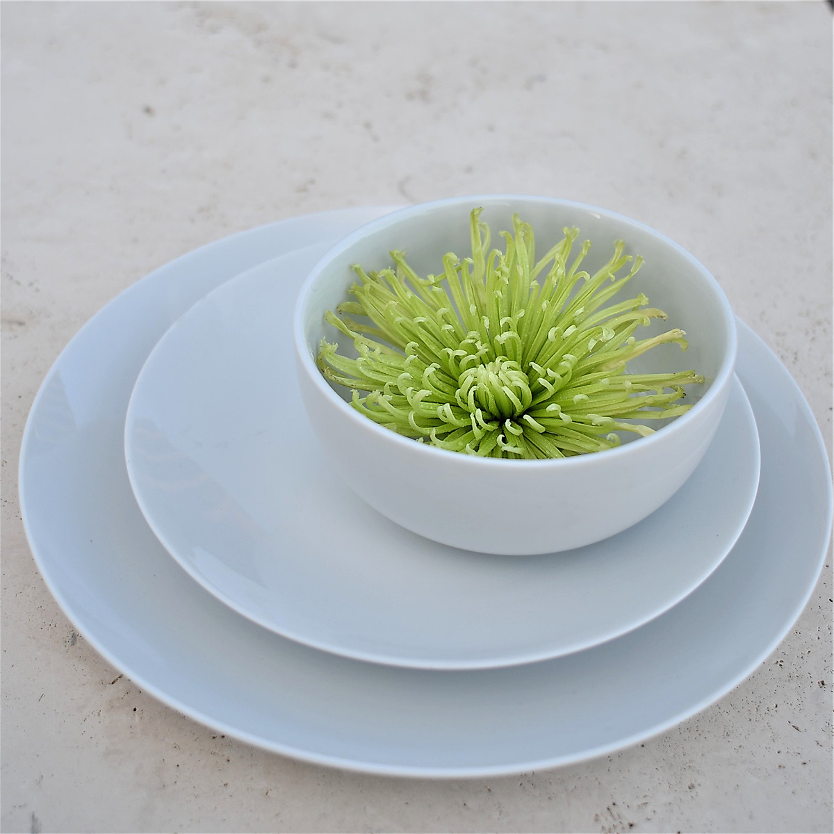 10 Strawberry Street Royal Coupe 5.5"/24 Oz Cereal Bowl, Set of 6, White