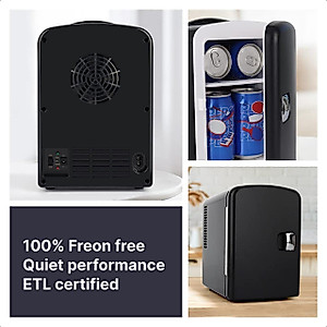 Living Enrichment Mini Fridge 4 Liter 6 Can Skincare Fridge, AC 120V DC 12V Portable Small Refrigerator Cooler and Warmer for Skincare, Foods, Medications, Bedroom, Travel and Car - Black