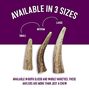 Health Extension Natural Elk Antlers for Dogs, Large Whole – Long-Lasting Chews for Aggressive Chewers, Dental Health Promotion, Ideal Puppy Training Treat