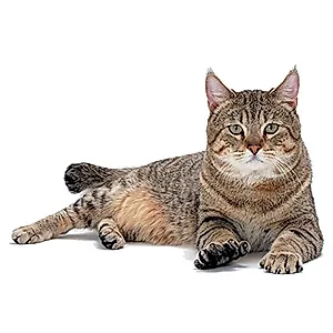 Pet Supplements Old cat Treats - Hip and Joint - for Cats - Health and Care - CHEWABLE - Cats Joint Health - 3 Bottle (360 Chews)