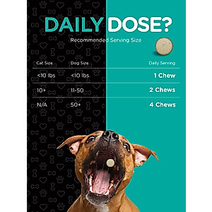 Horbäach Probiotics for Dogs & Cats | 120 Chewable Tablets | Digestive Aid | with 14 Probiotic Strains | Savory Beef Flavored Pet Supplement | by River & RULA