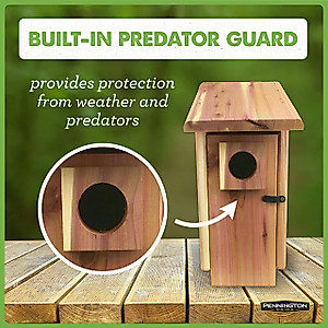 Pennington PRIDE CEDAR HOUSE W/PREDATOR GUARD Holds 1 Adult, 5 - 6 Babies