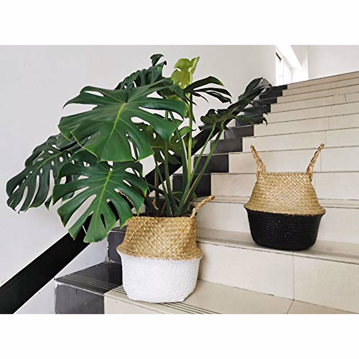 DOKOT Seagrass Belly Basket with Handles Natural Woven Planter Baskets for Indoor Plants Storage Laundry (Black 8 inch D x 9 inch H)