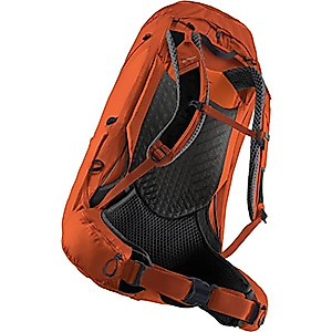 Gregory Men's Rucksack, Orange, 58