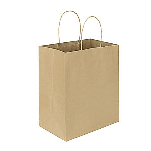 Oikss 100 Pack 8x4.75x10 inch Medium Plain Natural Paper Bags with Handles Bulk, Kraft Bags for Birthday Party Favors Grocery Retail Shopping Business Goody Craft Gift Bags Sacks (Brown 100 PCS Count)