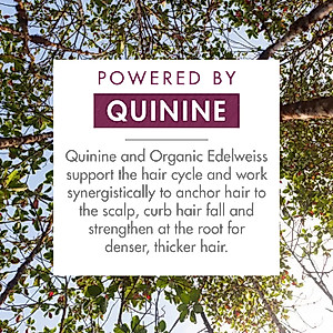 Klorane Strengthening Conditioner with Quinine and Edelweiss for Thinning Hair, Supports Thicker, Stronger, Healthier Hair, For Men and Women, Paraben, Silicone and Sulfate Free