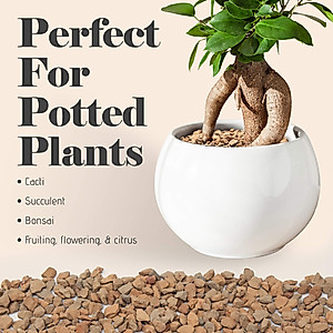 Monto Clay pH 5.6 (Montmorillonite Calcined Clay) Bonsai Soil Amendment (2 Dry Quarts)