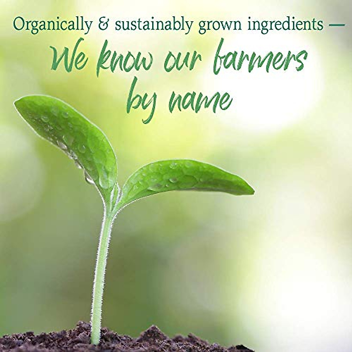 Garden of Life Raw Organic Perfect Food Energizer Juiced Green Superfood Powder - Yerba Mate Pomegranate, & Probiotics, Gluten Free Whole Food Greens Supplements, 30 Servings, 9.73 Oz