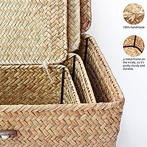 TICYACK Straw Storages Baskets With Lid, Hand-Woven for Seagrass, for Desktop Home Decoration (S/M/L)