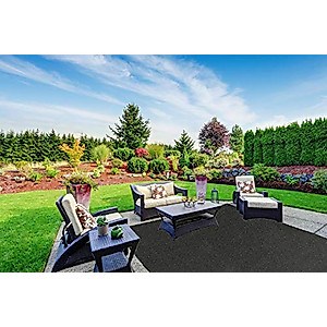 Indoor - Outdoor Area Rugs and Runners Constructed with Superior PET Fiber Made from 100% Purified Recycled Bottles. (9' x 12', Black Ice)