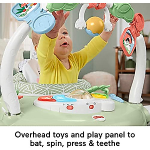 Fisher-Price Baby Bouncer Spacesaver Jumperoo Activity Center With Lights Sounds And Folding Frame, Puppy Perfection