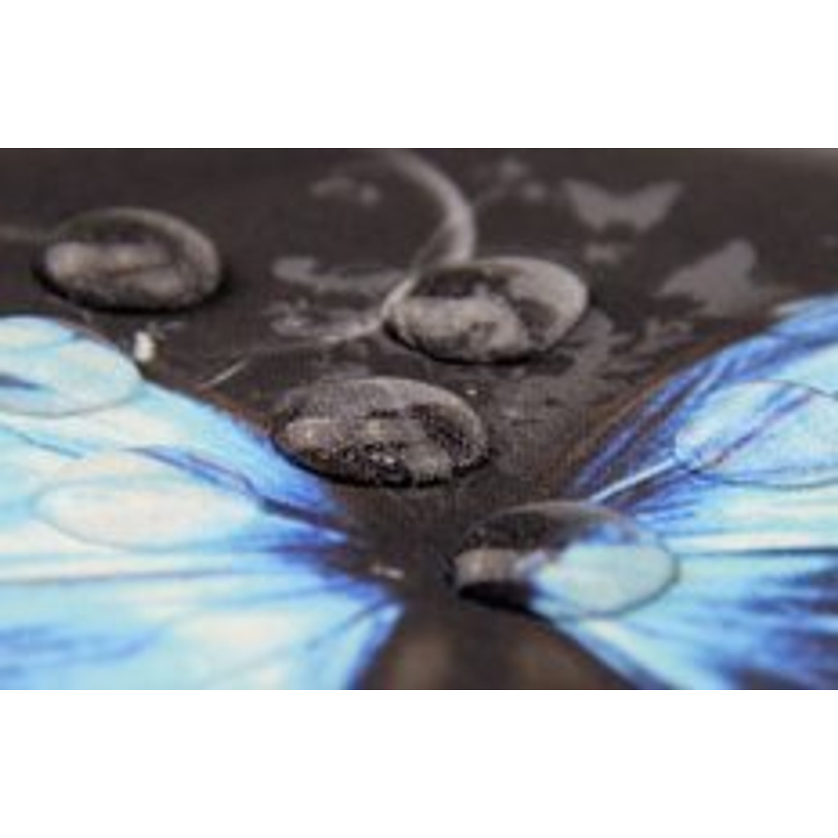 BEDOO Psychedelic Country-Rock America Band 1964 50th Laptop / Notebook / MacBook Pro / MacBook Air Sleeve Case Bags