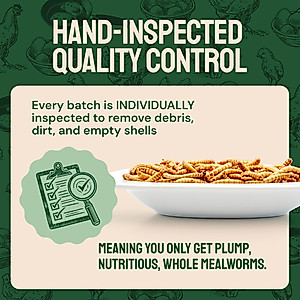 Hatortempt 5 lbs Non-GMO Dried Mealworms-High-Protein Mealworms for Wild Bird ,Chicken, Ducks,Fish,Reptile, Tortoise , Amphibian,Lizard