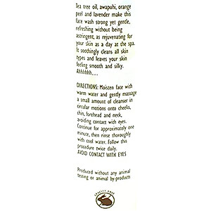 Trader Joe's Spa Face Wash with Tea Tree Oil (2 Packs)