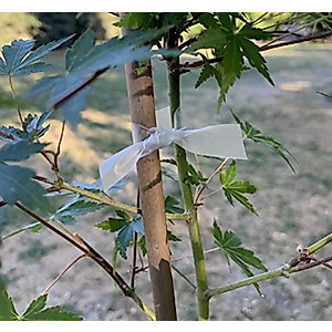 Clear Tie Tape 300 FEET x 1/2" Each Roll/Translucent Stretch Plant Ribbon Garden Vinyl - 3 Pack