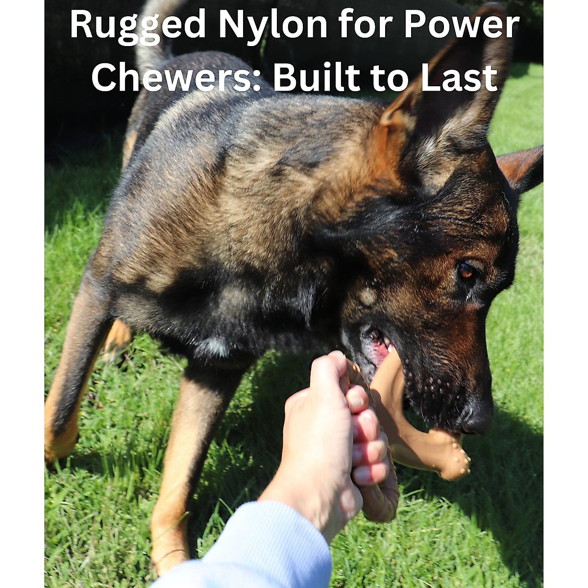 Mias Pawsome Pets German Shepherd Tested Wishbone: Beef Flavor Indestructible Dog Chew Toy for Aggressive Chewers, Tough & Durable Interactive Toy for All Breeds and Sizes, Alleviates Boredom