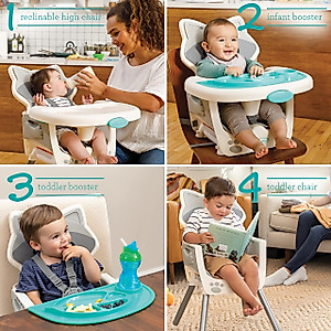 Infantino Grow-with-Me 4-in-1 Convertible High Chair, Raccoon-Theme, Space-Saving Design, Booster and Toddler Chair, for Infants & Toddlers 3M-36M Multicolor
