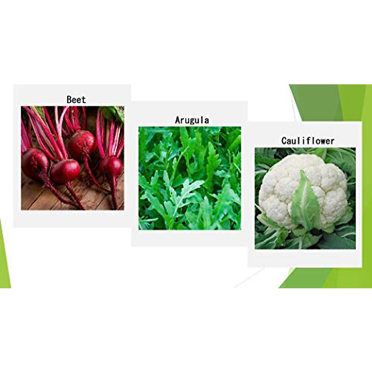 Premium Winter Vegetable Seeds for Planting Organic Non-GMO Heirloom Seeds 12 Varieties: Radish, Pea, Broccoli, Beet, Carrot, Cauliflower, Green Bean, Kale, Arugula, Cabbage, Asparagus, Brussel Sprout