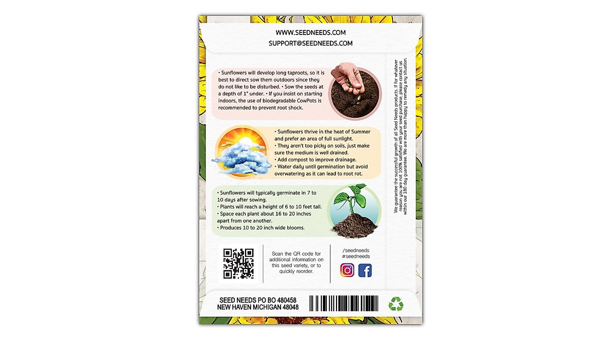 Mammoth Grey Stripe Sunflower Seeds - Heirloom, Non-GMO, Pollinator ...