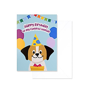 12 Large Kids Happy Birthday Cards 5 x 7 Inch – 12 Premium Children Birthday Cards For Him & Her with Illustrated Dogs, Cats, Space Rockets, Planets, and Cute Furry Characters Printed on Thick 350 GSM