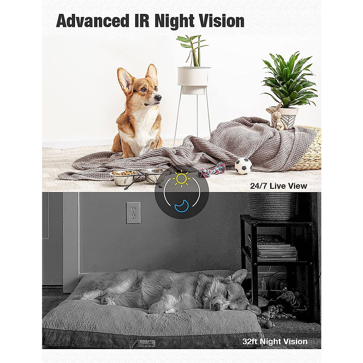 eazieplus Pet Camera, Indoor Security Cam with 2-Way Talk Remote Live View, 2.4GHz WiFi,1080P Night Vision, Motion/Sound Detection, Compatible with Alexa for Home Baby Elder Surveillance