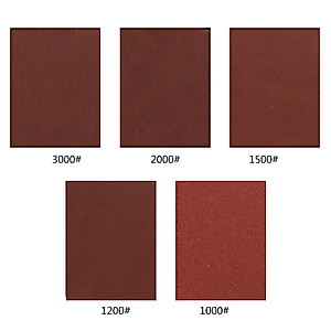 Coceca 120pcs Orbital Sandpaper Orbit Sanding Discs 5 Inches 1000 1200 1500 2000 3000 High Grit 8 Hole Fine Grit Hook and Loop for Power Random Sander