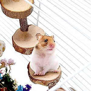 DAMPET Hamster Chew Toys, Hamster Activity Toys, Gerbil Rat Guinea Pig Chinchilla Chew Toys, Toys Accessories for Teeth Care,Natural Apple Wood Toys for Hamster, Rabbits, Bunny, Gerbil (Style 4)