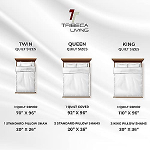 Tribeca Living Velvet Queen Quilt Set, Three-Piece Box Stitch Bedding Set Includes One Oversized Quilt & Two Sham Pillowcases, 260GSM Super Soft Velvet, Florence/Black