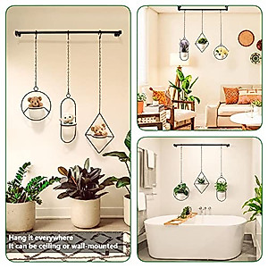 Hanging Planters for Indoor Plants Holder - Window Plant Hanger Indoor with 3 Ceramic Pots Wall Ceiling Home Office Outdoor Herb Garden Decor