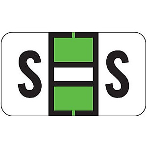 Doctor Stuff - File Folder Labels, Ringbook Sheets, Alphabet Letter S, POS 2000 - PP3R Match Compatible Alpha Stickers, Light Green, 15/16" x 1-5/8", 240 Labels per Pack