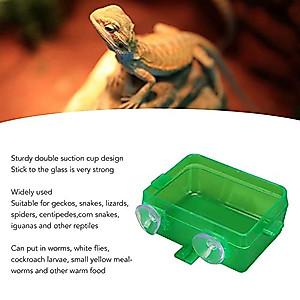 Zerodis Suction Cup Reptile Feeder, Green Wall Reptile Feeder Gecko Lizard Escape Proof Food Water Bowl (S)