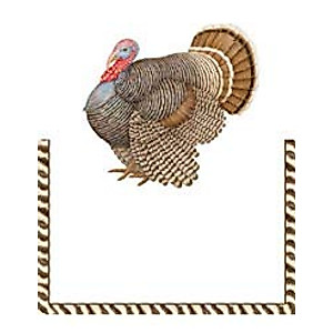 Thanksgiving Placecards Thanksgiving Dinner Table Decorations Thanksgiving Table Decor Turkey Pk 16