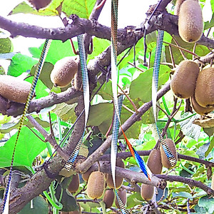 2 Rolls Laser Tape Double Sided Laser Tape Reflective Laser Flash Tape