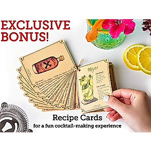 Mixology Bartender Kit: 14-Piece Cocktail Shaker Set - Bar Tool Set For Home and Professional Bartending - Martini Shaker Set with Drink Mixing Bar Tools - Exclusive Cocktail Picks and Recipes Bonus