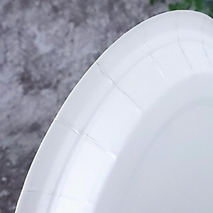 Pandecor 50 Pieces 7 Inches Disposable Paper Plates,Cakes Dessert Salad Pizza Holographic Rainbow Silver Round Plates Birthday Party Decorations Wedding Anniversary Christmas (Holographic)