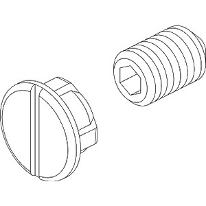 Delta Faucet RP46391 Handle Button and Set Screw