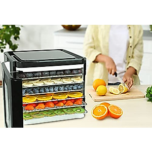 Nebula Food Dehydrator with 6 Stainless Steel Trays, LED Touch Control Design, Adjustable Digital Temperature 35-70C and 48 Hour Timer, Food Dryer for Fruit, Veg, Meat, Mushroom, Herb, Seed