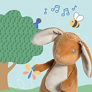 Mary Meyer Leika Baby Board Book 6 x 6 Inches, Little Raccoon