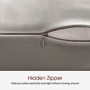 WLOSJ 100% Silk Pillowcase for Hair and Skin 2 Pack Standard Size 19 Momme Mulberry Silk Pillow Case 600 Thread Count Soft Breathable Cooling with Hidden Zipper Set of 2, Grey