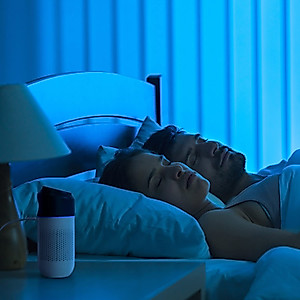 Aluratek Portable H13 True HEPA Air Purifier for Travel, Home, Office, Reduce Smoke, Dust, Mold, Pollen, Odor (APAP01F), Black, Standard