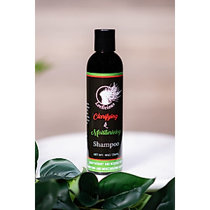 LOCLICIOUS Clarifying & Moisturizing Shampoo for Locs, Dreadlocks, Braids, and Dreads - Vegan, Organic Formula - Lightweight & Residue-Free - Promotes Healthy Hair (8oz)