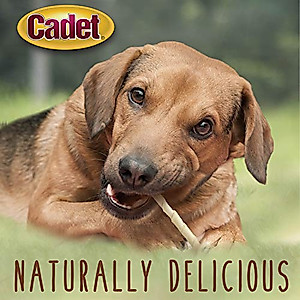 Cadet Premium Grade Beef Hide for Dogs, Long Lasting Rawhide Twist Chew Sticks, Natural Dog Chews, 5 Inch Dog Bones (34 Count)