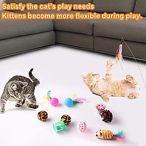 Wettarn 22 Pieces Cat Toys Set, with 2 Collapsible Cat Tunnels for Indoor Cats and 20 Kitten Toys Cat Tubes and Tunnels Interactive Cat Feather Toy Mouse Crinkle Balls for Cats Puppies (Colorful)