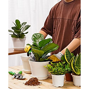 homenote Pots for Plants, 8 Pcs 7.5 inch Plastic Planters with Multiple Drainage Holes and Tray - Plant Pots for All Home Garden Flowers Succulents, Cream White