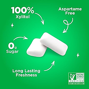 PUR Gum | Aspartame Free Chewing Gum | 100% Xylitol | Natural Spearmint Flavored Gum, 55 Pieces (Pack of 1)