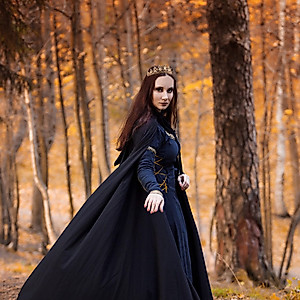 SuPoo Gold Crown Queen Crowns for Women Birthday Tiara Champagne Tiara for Women Rhinestone Headband Hair Accessories Gifts Princess Decoration for Wedding Party Prom Halloween Costume